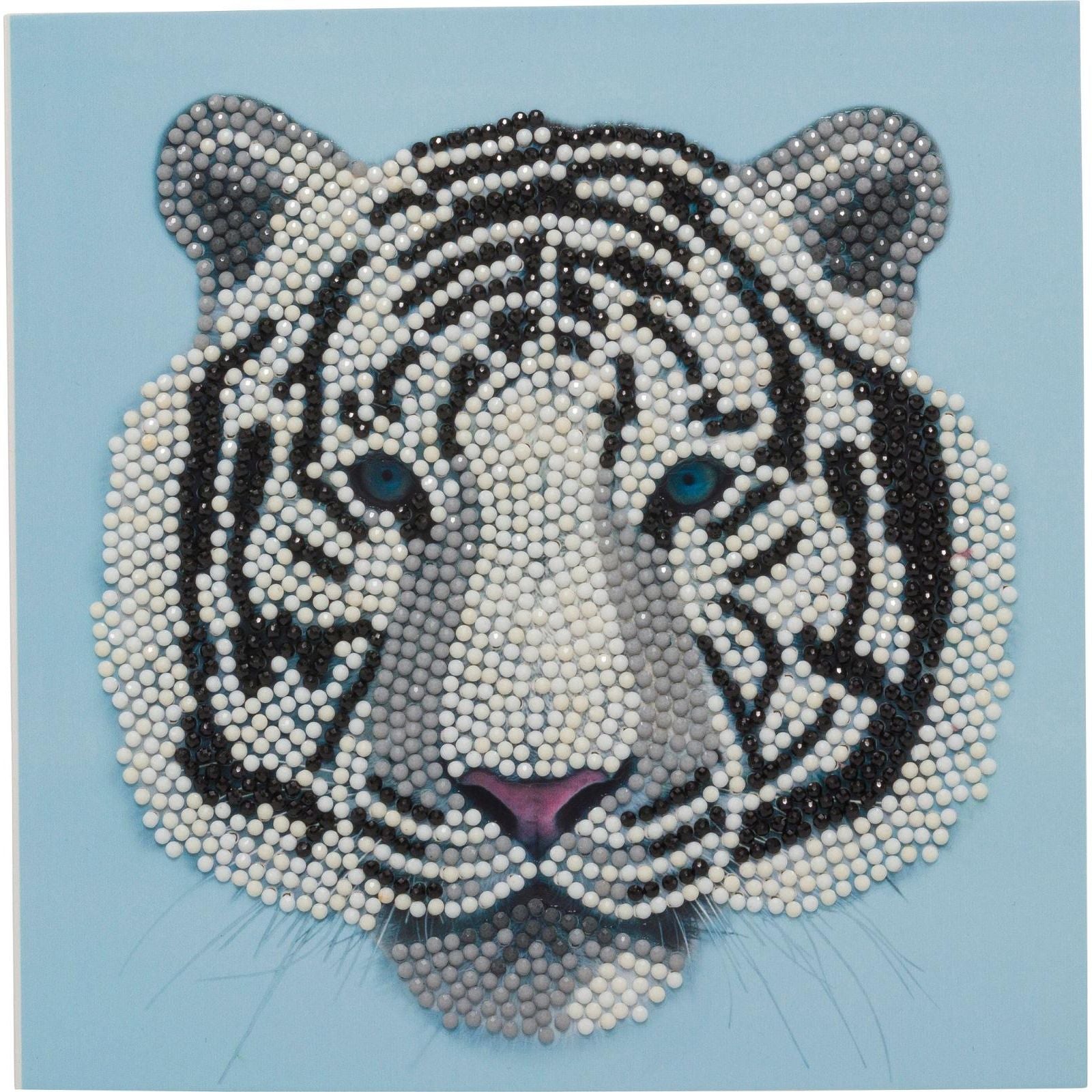 Craft Buddy 18x18cm DIY Crystal Card Kit - White Tiger Head – STC Stores
